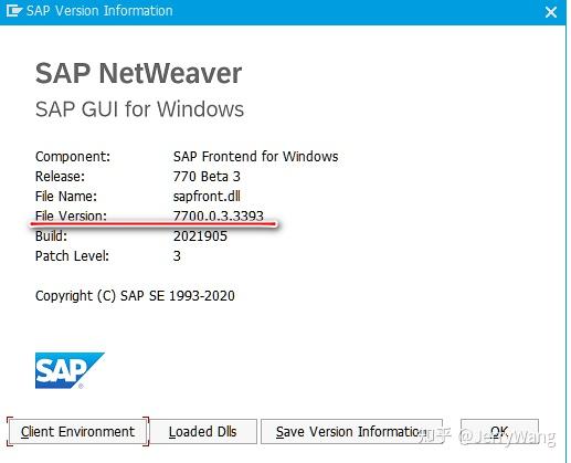 一个 15 年 SAP ABAP 开发人员分享的 SAPGUI 一些个性化设置和实用小技巧试读版 - 知乎