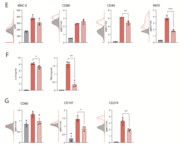 d-2-Hydroxyglutarate 是一种抗炎免疫代谢物，在 TLR4 激活后的巨噬细胞中积累 - 知乎