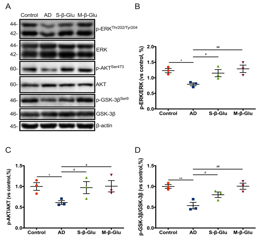 安琪博后出站汇报分享：酵母β-葡聚糖对阿尔茨海默病的保护作用及相关机制研究 - 知乎