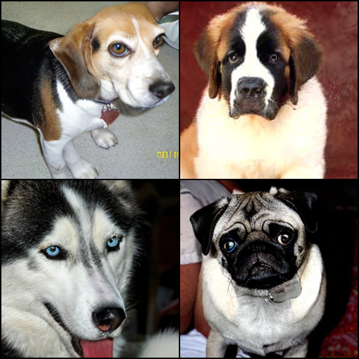 图像生成大模型中的扩散变换器DiT和校正流变换器Rectified Flow Transformer，AIGC领域的关键进展 - 知乎