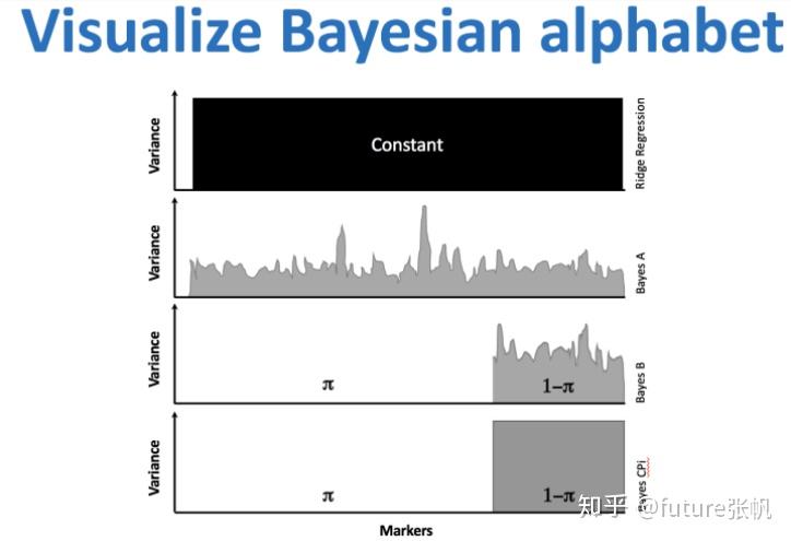 利用GAPIT进行gwas和gs分析（附带方法介绍） - 知乎