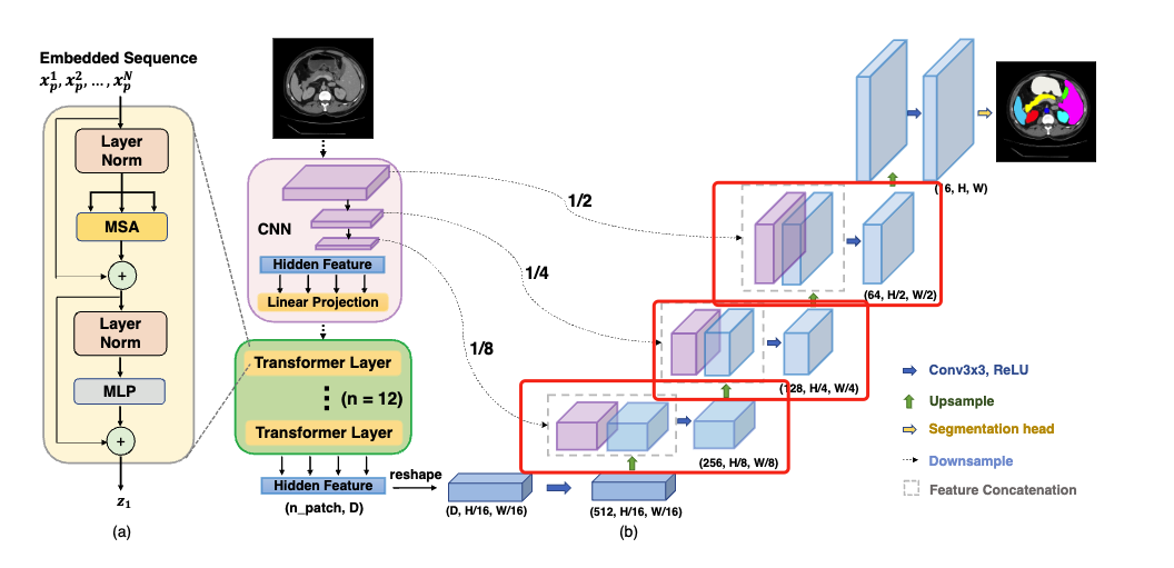 [20] TransUNet: 将Transformer Encoder 融入 U-Net 做医学图像分割 - 知乎