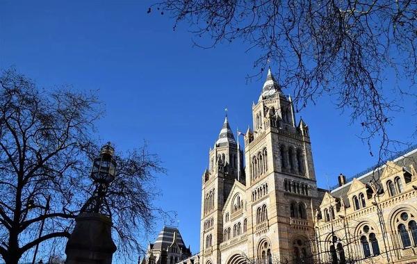 红砖大学/G5/罗素集团，这几个英国Top大学联盟到底有多厉害？ - 知乎