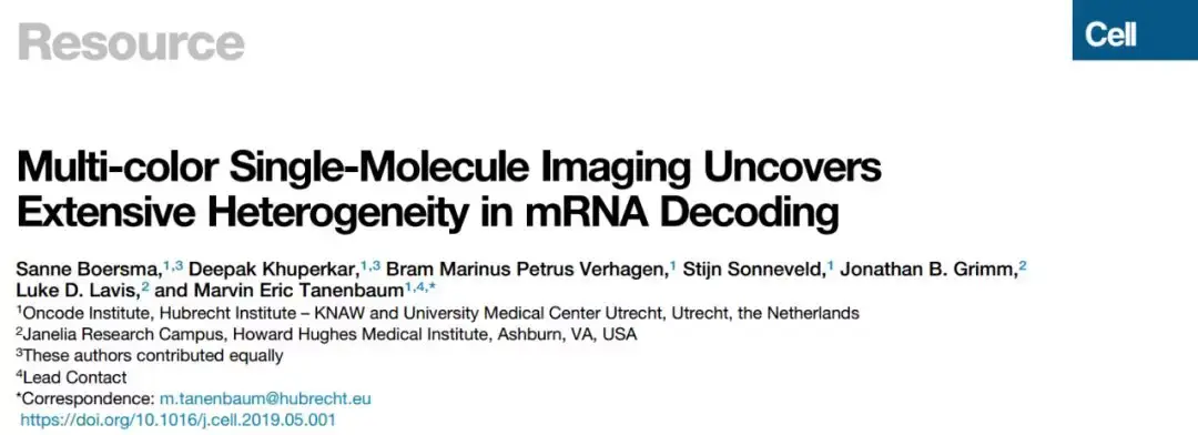 Cell 新技术 | SunTag之后又来MoonTag，点亮单分子mRNA翻译过程 - 知乎