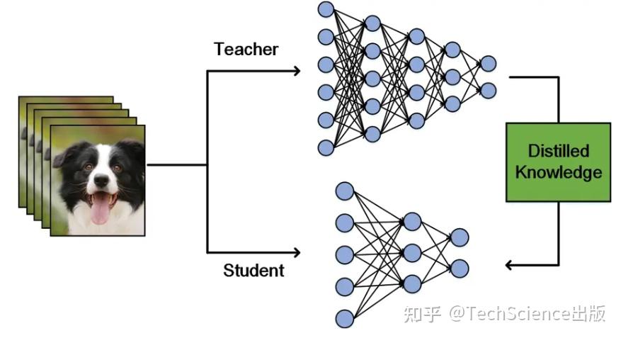 CMES综述：具有 DNN 分布式处理的边缘智能 | TSP精选文章 - 知乎