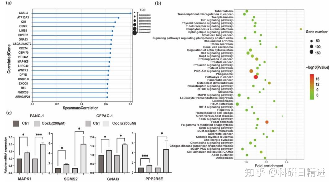 Biomoleculars丨胰腺癌低氧脂质代谢相关基因的分子分型 - 知乎