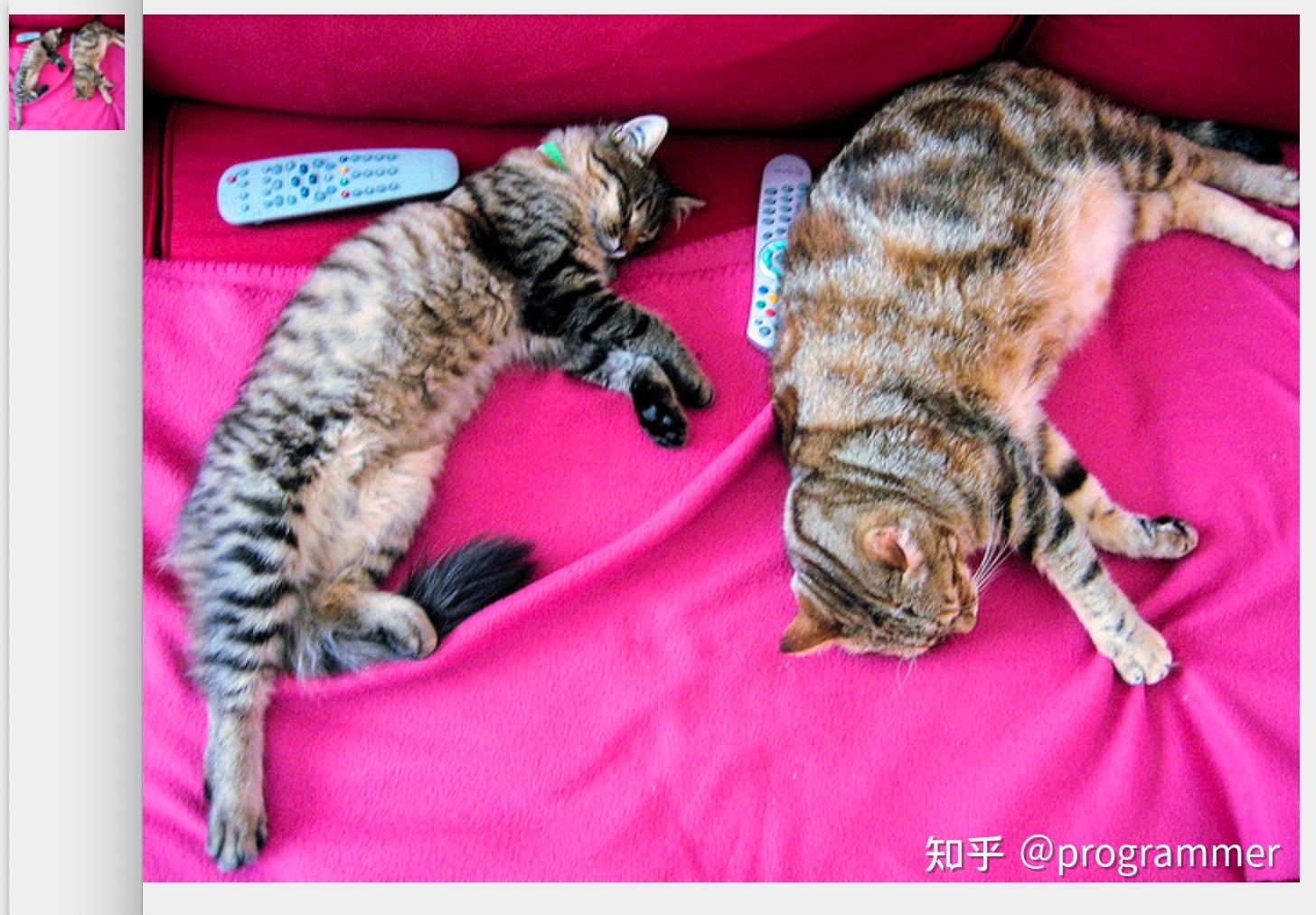 PIL.Image.Image类型resize函数学习 - 知乎