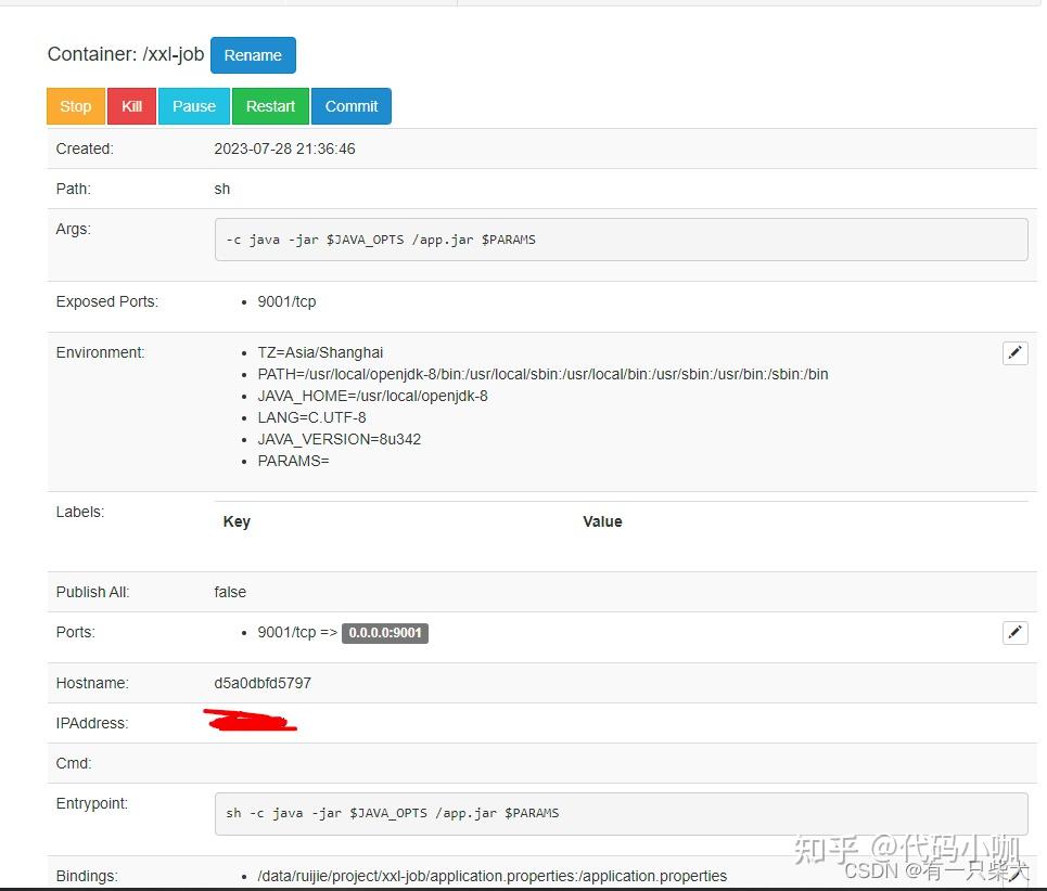 三款主流 Docker 可视化工具，免费又好用！ - Sam Xiao - 博客园