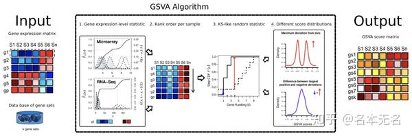 TCGA 数据分析实战 —— GSVA、ssGSEA 和单基因富集分析 - 知乎