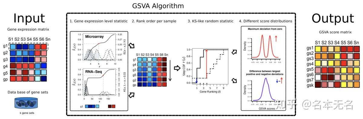 TCGA 数据分析实战 —— GSVA、ssGSEA 和单基因富集分析 - 知乎