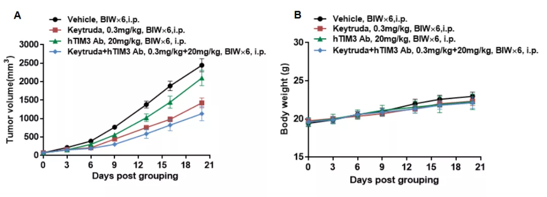 火热的免疫检查点——TIM3靶点 - 知乎