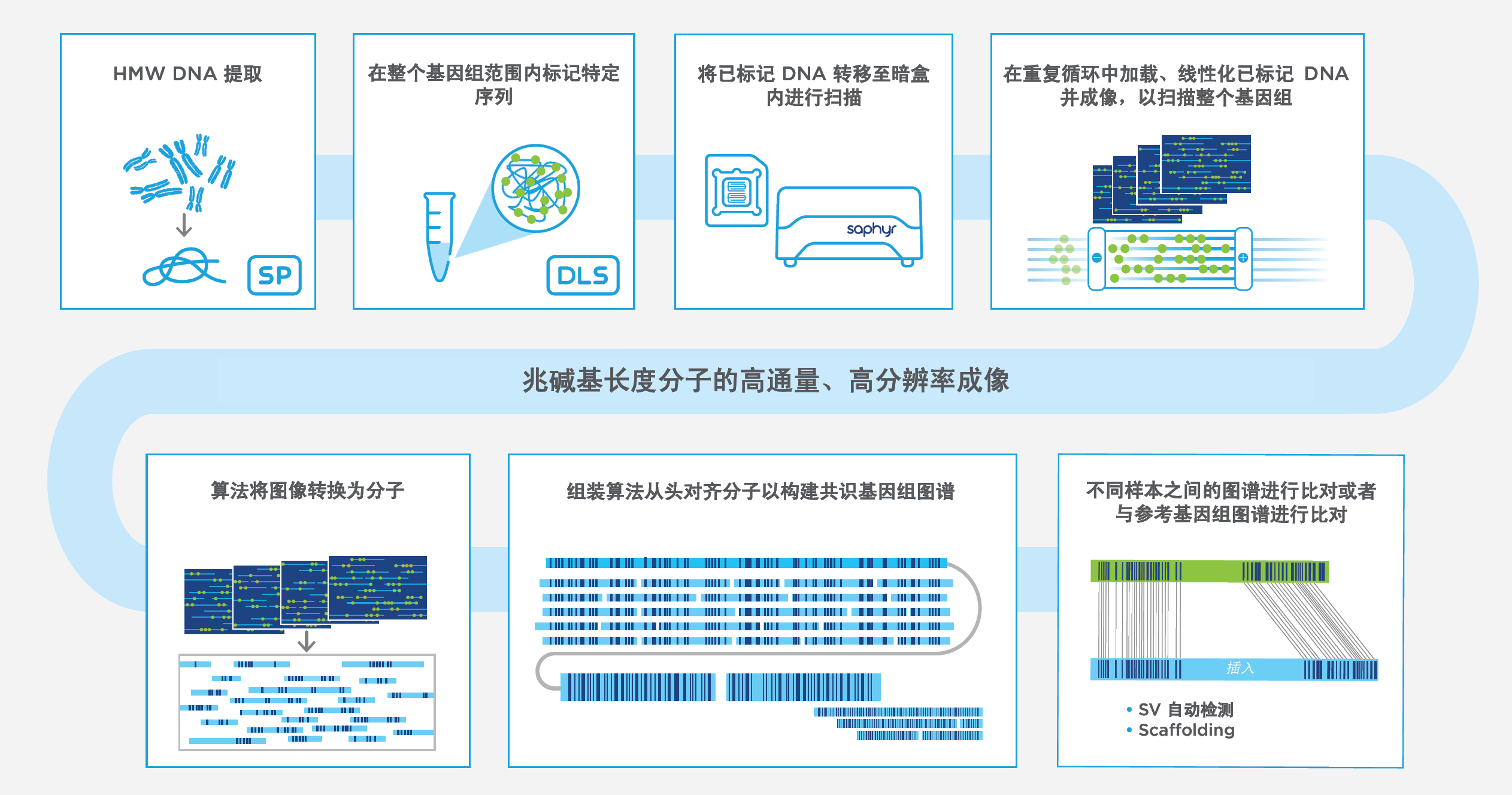 Bionano全基因组光学图谱技术-遗传病检测应用 - 知乎
