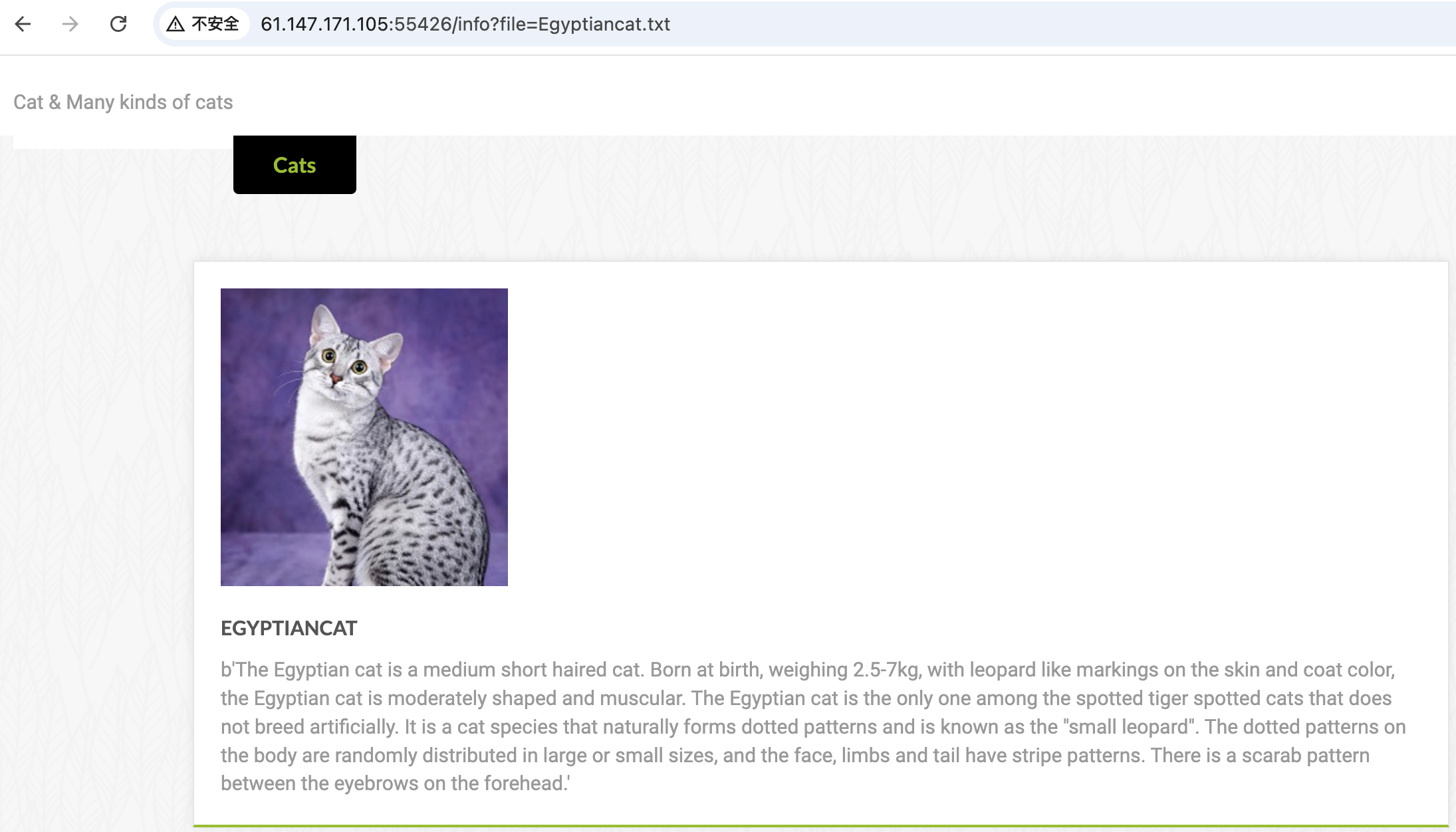 xctf-catcat-new（文件包含，Flask 会话管理） - 知乎