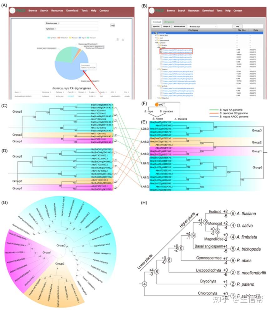 基因家族｜PHGD是一个植物激素相关基因数据库 - 知乎