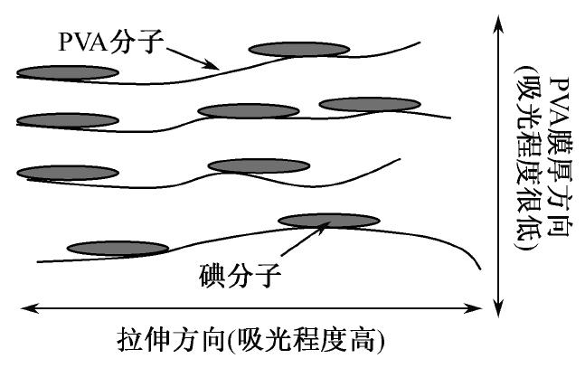 偏光板--基本介绍 - 知乎