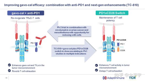 TCR-T巨头显现 - Adaptimmune & TCR2 战略合并 - 知乎
