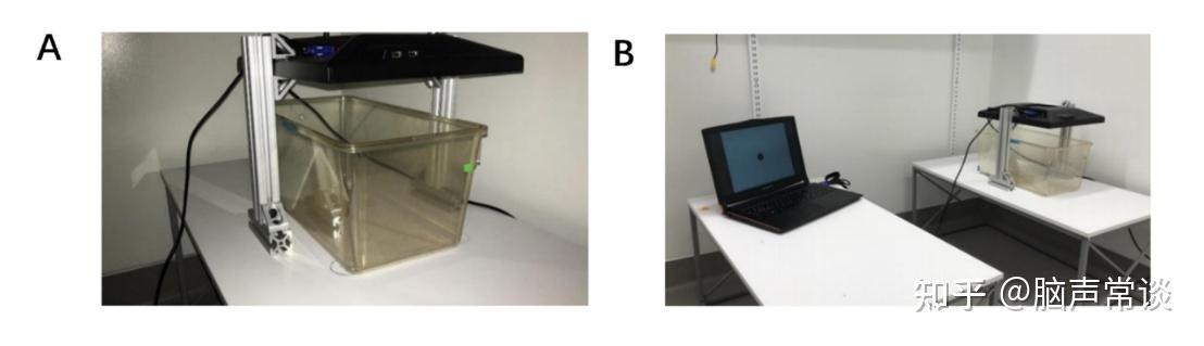 动物行为实验指南：视觉诱发的小鼠本能防御性行为（looming模型）实验方法总结 - 知乎