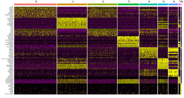 Seurat Tutorial 1：常见分析工作流程，基于 PBMC 3K 数据集 - 知乎