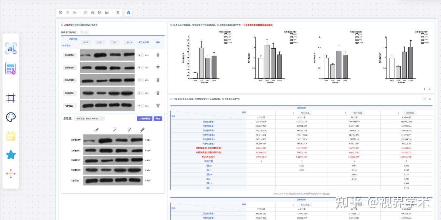 轻松搞定WB条带灰度分析：数据处理一键搞定！ - 知乎