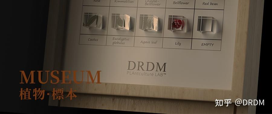 新锐国货｜DRDM探索自然与科技先进融合 - 知乎