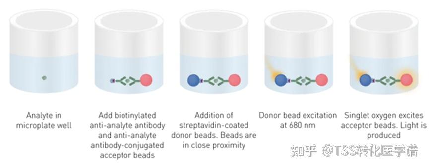 带你了解Alpha Screen技术 - 知乎