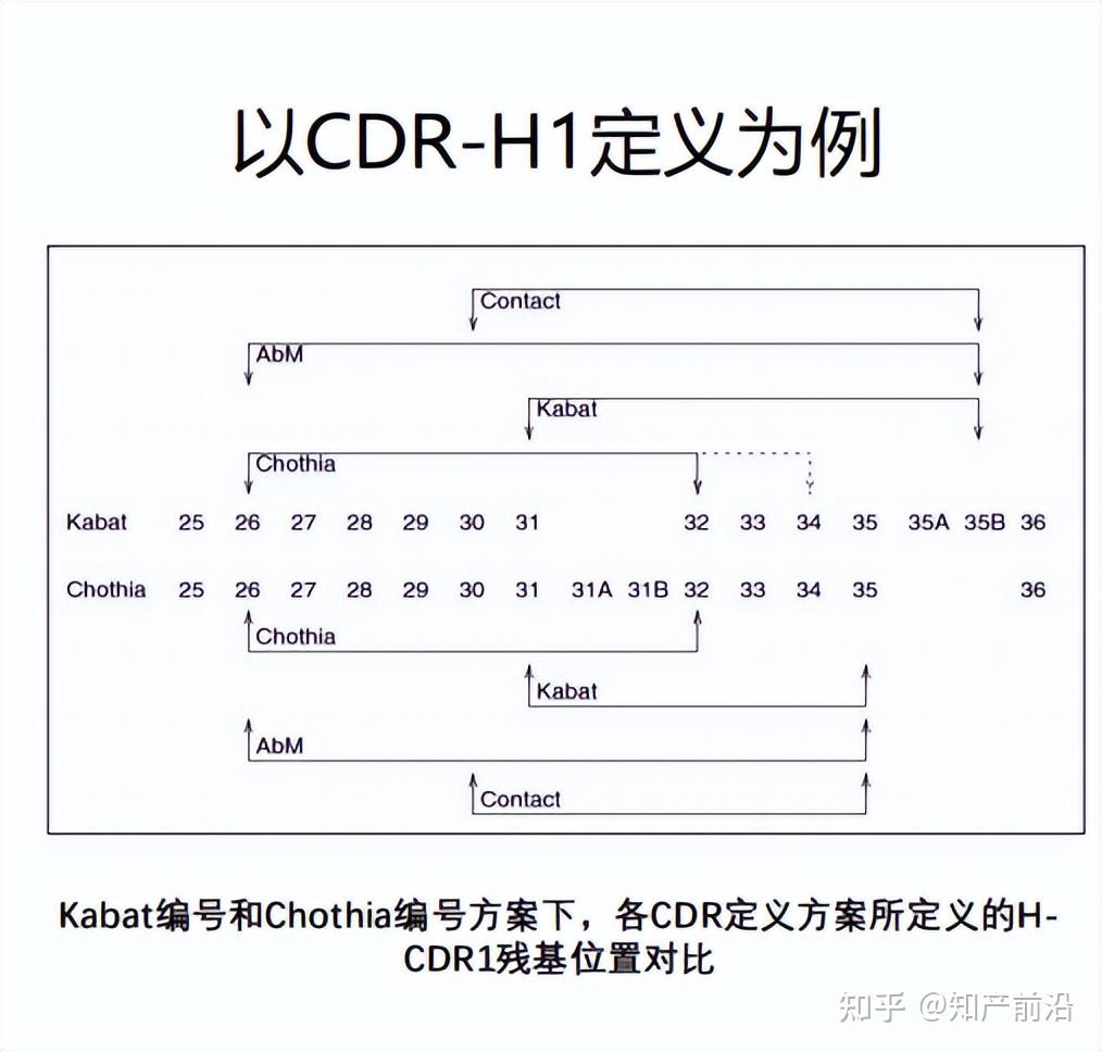 倪申文 | 抗体专利审查：以CDR序列定义权利要求范围的深度思考 - 知乎