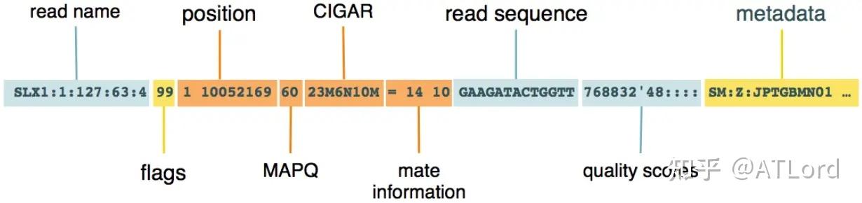 数据格式（六）——SAM\BAM - 知乎