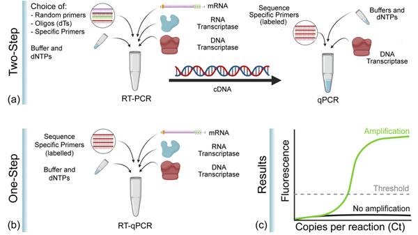 PCR、qPCR、RT-PCR、RT-qPCR、Real-Time PCR你真的能区分的开吗？ - 知乎