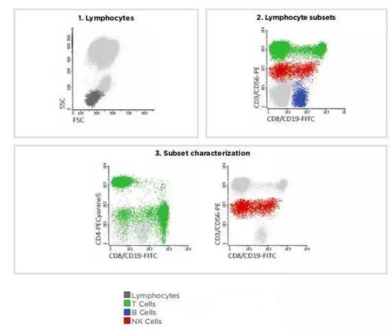 西班牙Cytognos流式抗体及多功能分析软件 - 知乎