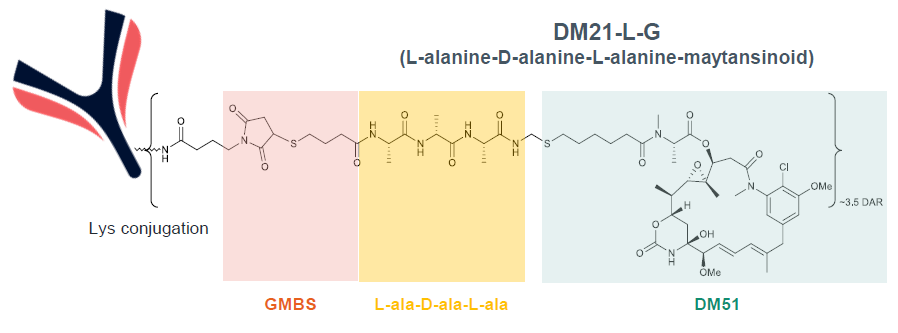 Probody®疗法简介及其在ADC中的成功应用（最大限度减少健康组织伤害） - 知乎
