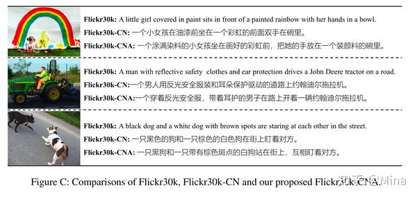 Visual-Language多模态数据集梳理 - 知乎