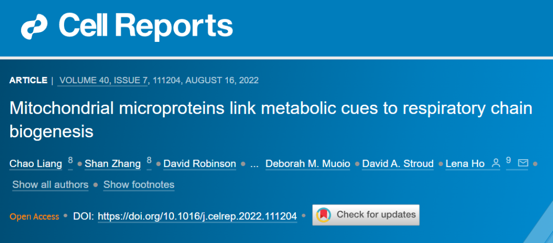 Cell Reports：小分子蛋白质在细胞能量平衡中起着重要作用 - 知乎
