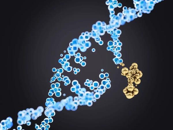 「加密之王」a16z合伙人Vijay Pande ：裁员潮下机遇大，投资全明星团队更令人兴奋 - 知乎