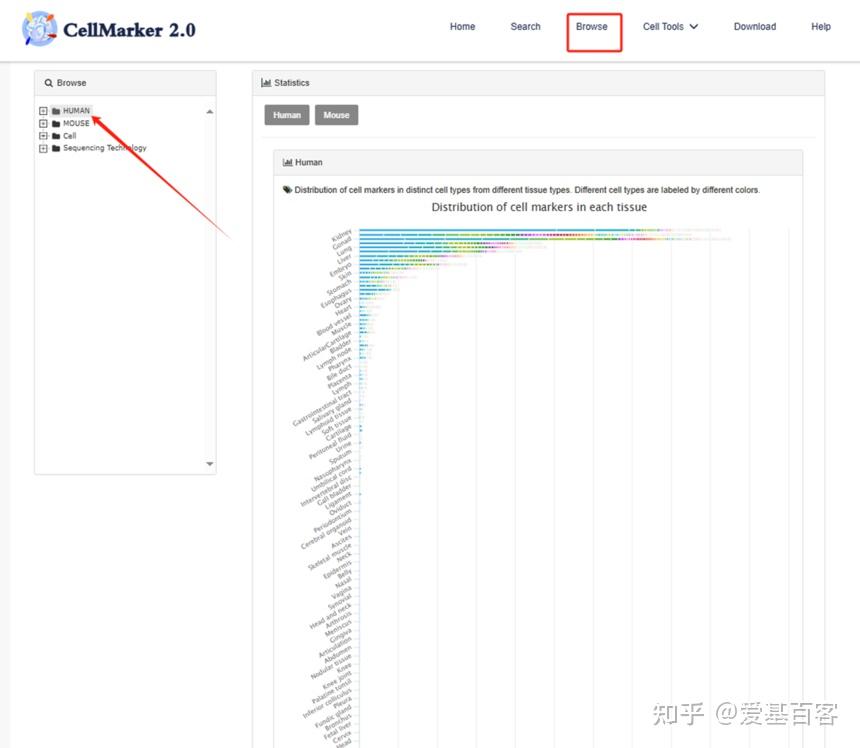 干货分享 | 如何使用单细胞标记的marker基因数据库Cell Marker2.0? - 知乎