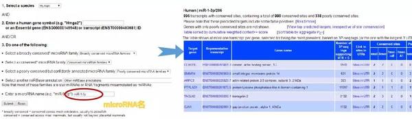常用microRNA靶基因预测工具 - 知乎