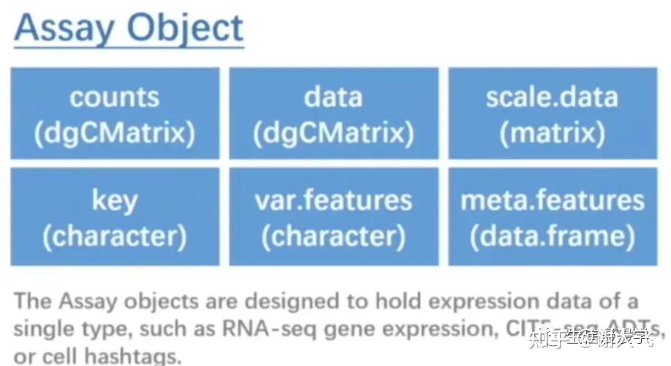 V5版Seurat对象内部结构 - 知乎