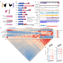 还不知道T2T基因组？你OUT了！ - 知乎
