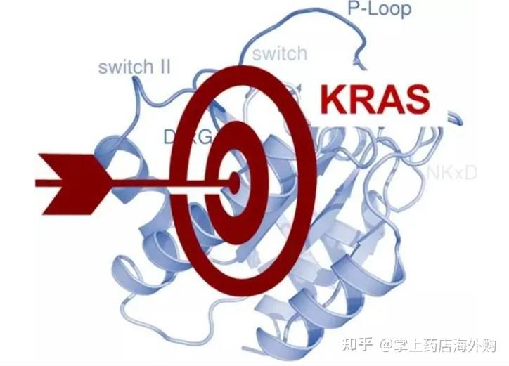 KRAS G12D基因突变是什么意思？针对KRAS G12D的靶向药有哪些？临床试验什么时候能上市？ - 知乎