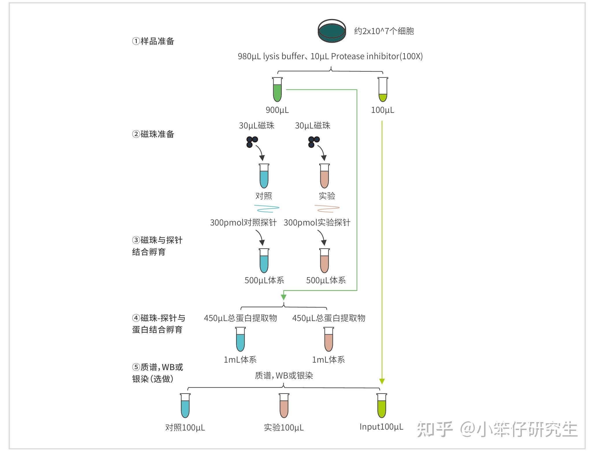 DNA pull down原理，应用场景，操作步骤 - 知乎