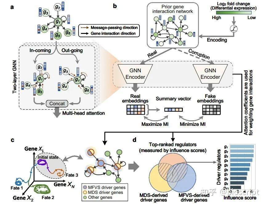 CEFCON：更加精准的发现细胞状态/类型改变的动态驱动调节因子 - 知乎