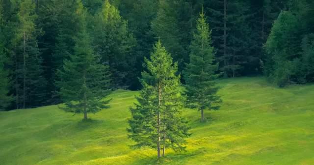 Spring RSocket：基于服务注册发现的 RSocket 负载均衡 - 知乎