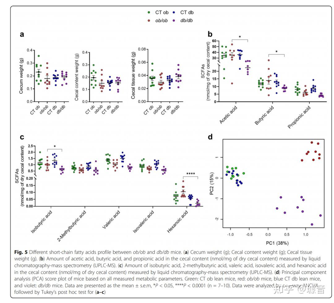 DBDB、OBOB二型糖尿病小鼠 - 知乎