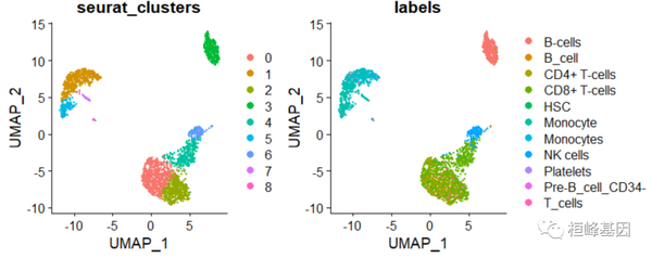 SCS【6】单细胞转录组之细胞类型自动注释 (SingleR) - 知乎