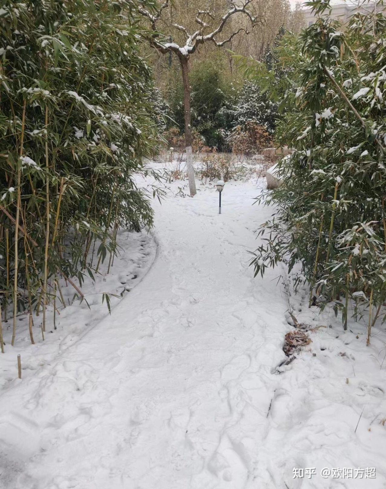 MyBatis-Plus（一）：根据指定字段更新或插入 - 知乎