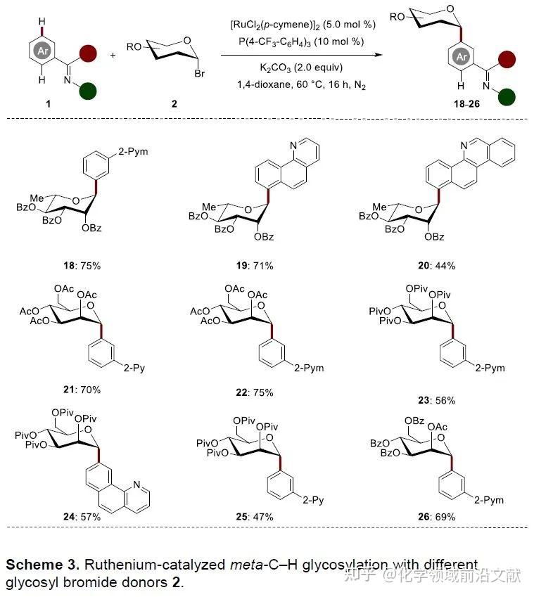 【Angew. Chem.】Ru(II)催化间位C-H糖基化反应：模块化合成间位C-Ar糖苷 - 知乎