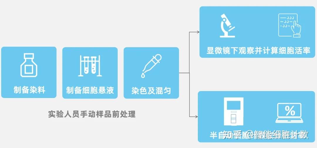 细胞培养：台盼蓝染色和AOPI染色分析细胞活率的正确打开方式 - 知乎