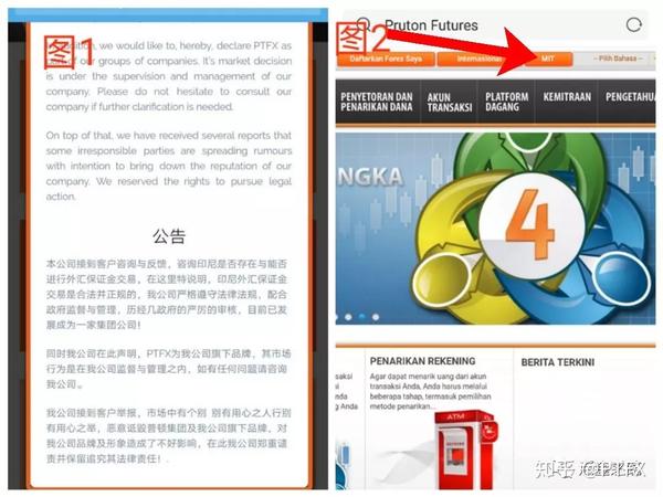 Pruton集团简介 - 知乎