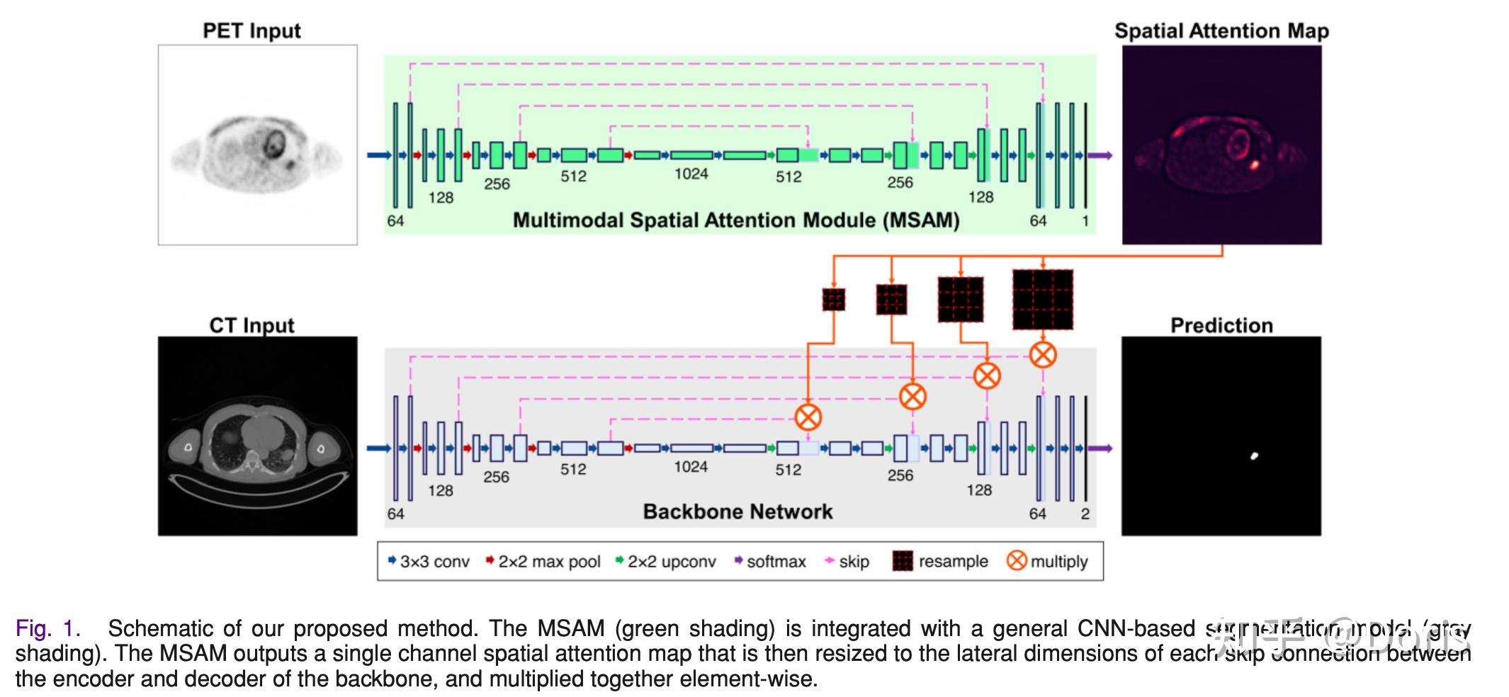 论文总结&经验分享｜图像分割｜IEEE Journal of Biomedical and Health Informatics (JBHI) - 知乎