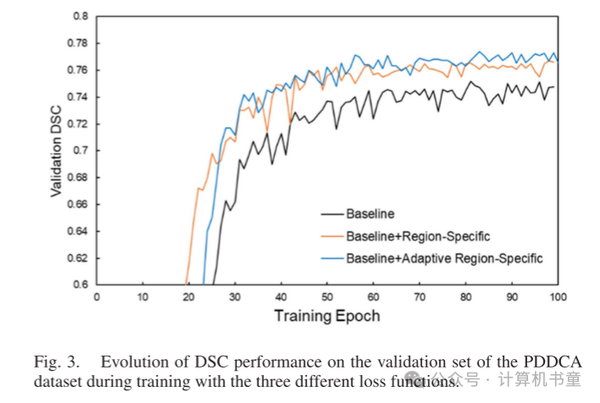 TPAMI 2024 | 自适应区域特定损失：提高图像分割性能 - CV技术指南（公众号） - 博客园