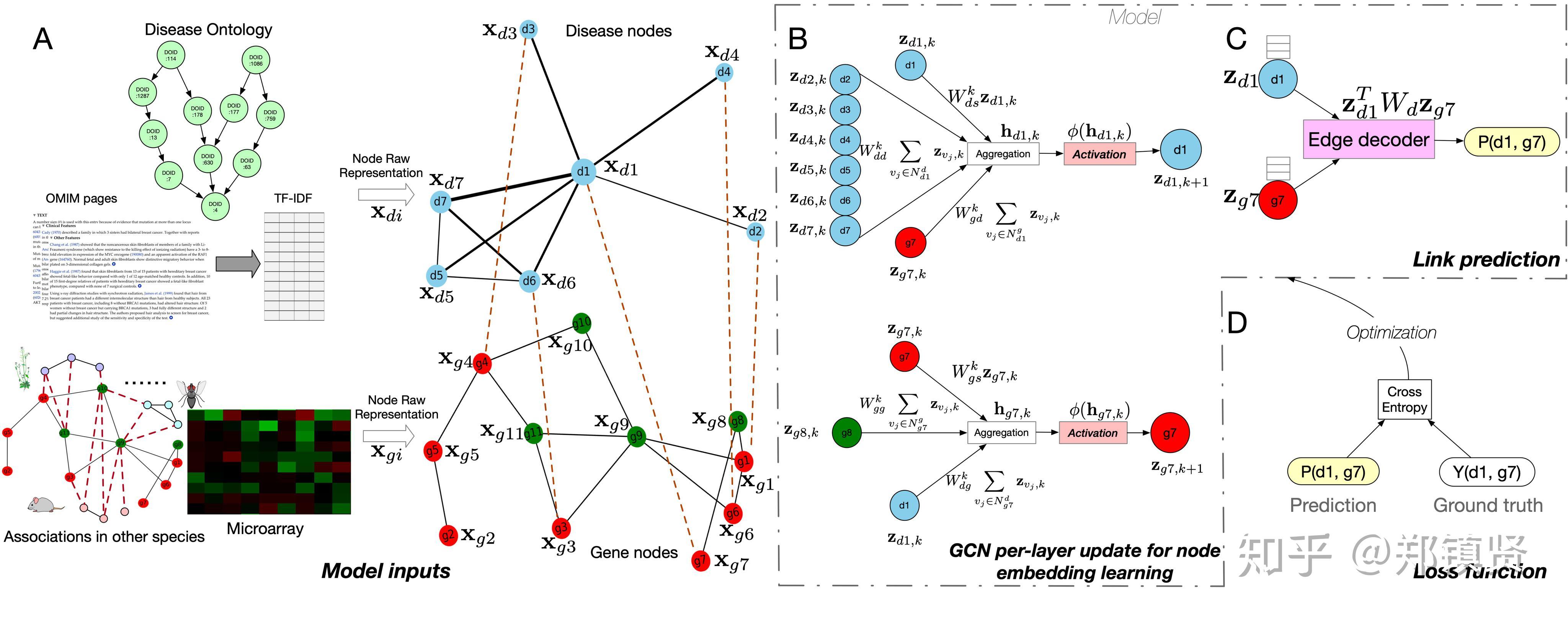 生物信息遇上Deep learning(11): PGCN: 基因疾病关联的图卷积网络 - 知乎